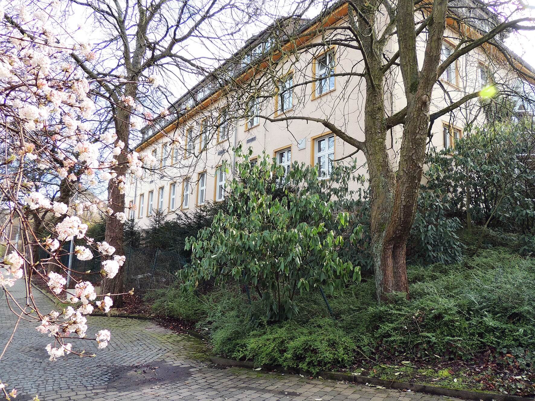 Press | University of Europe for Applied Sciences