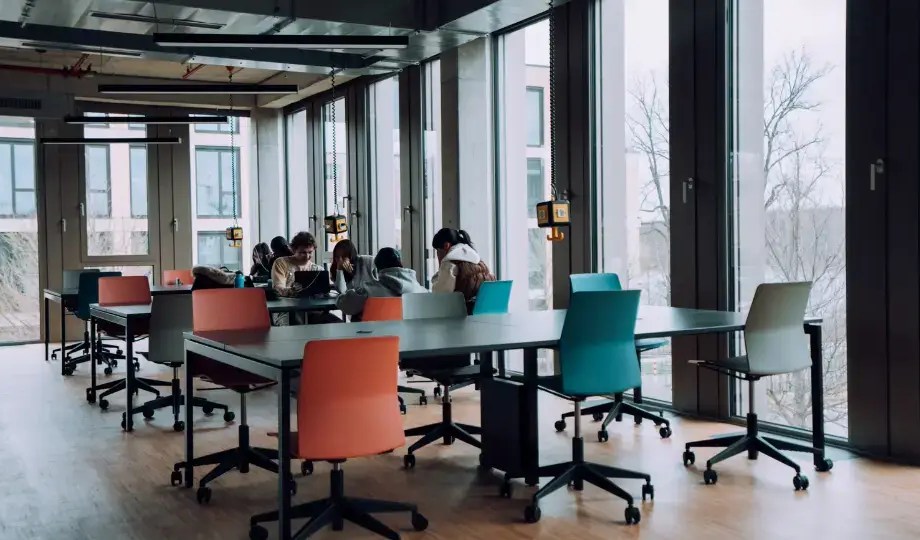 Your Master's Degree in Management Consulting | Apply now!